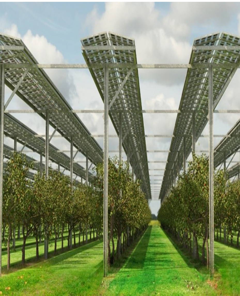 Home - Rezilient Energy Sources Group